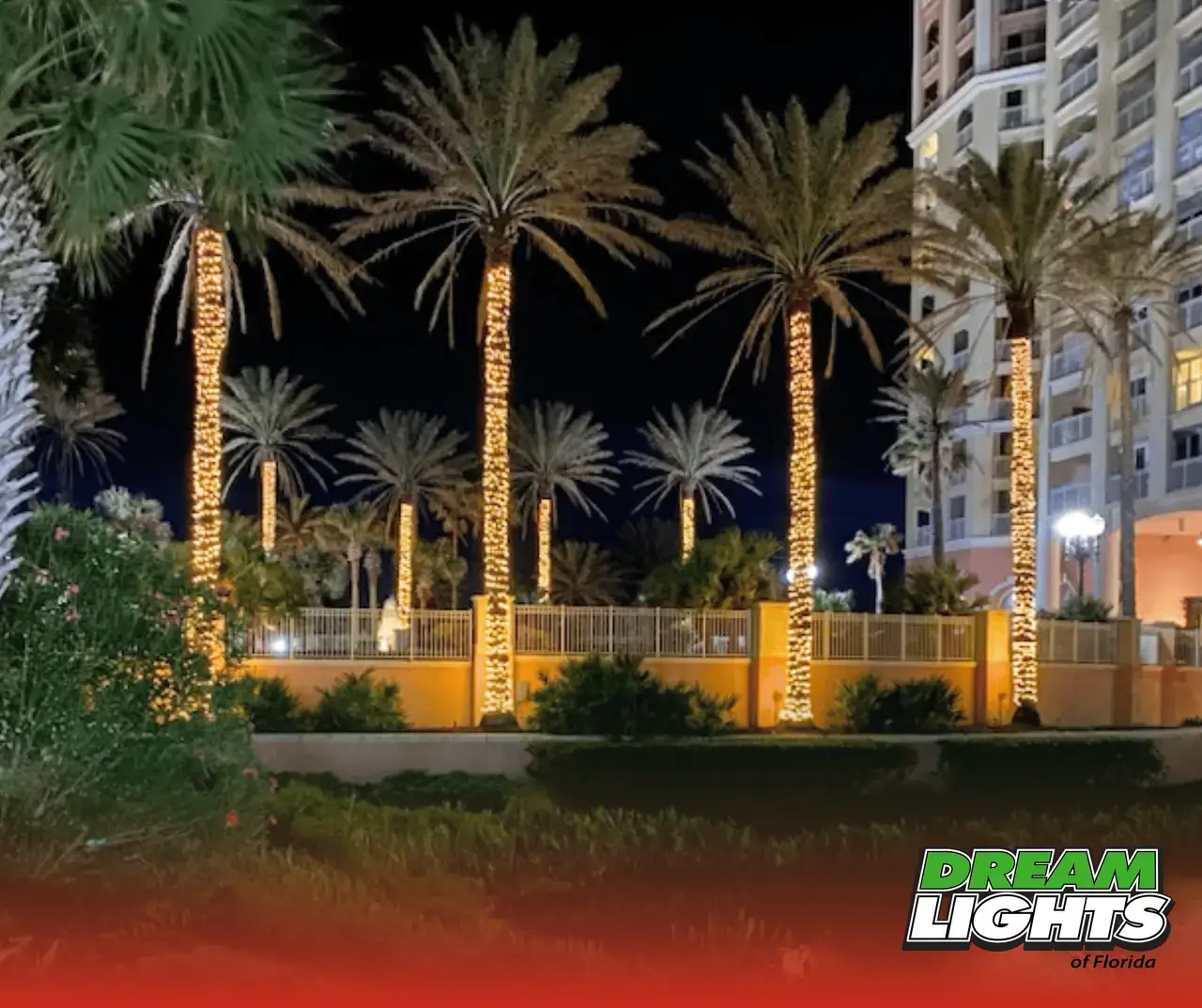 14 Stunning Holiday Lighting Installation Trends for Northeast Florida ...